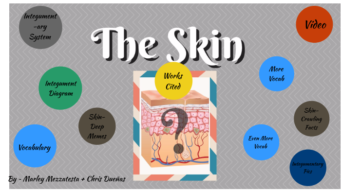 Skin Powerpoint by Christopher Duenas on Prezi