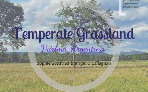 Temperate Grassland Biome Project by Brigid O'Callaghan on Prezi