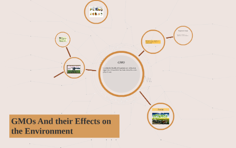 GMOs And their Effects on the Environment by Mary H