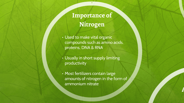 Importance of Nitrogen by Adam Tabesh on Prezi