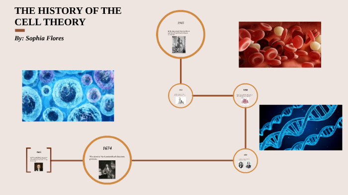 THE HISTORY OF THE CELL THEORY by Sophia Flores on Prezi