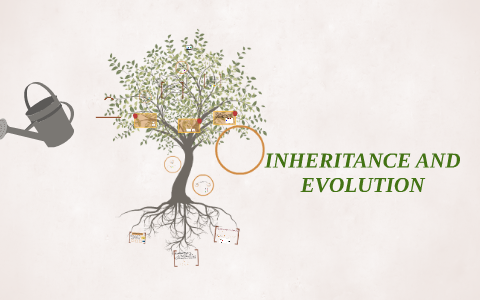 INHERITANCE AND EVOLUTION by Tanjuma Haque on Prezi