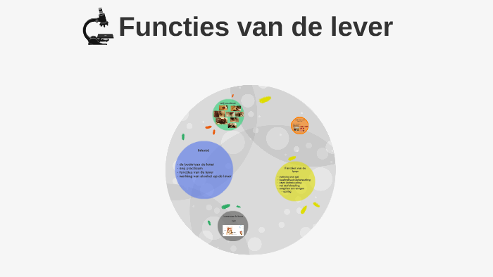 Functies van de lever by jan willem van dellen on Prezi
