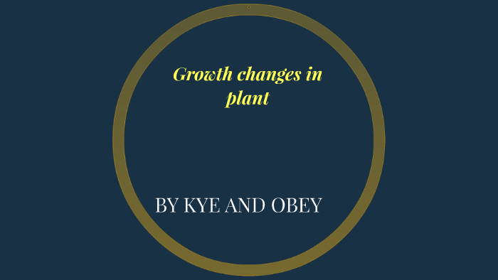 Life cycle of a plant by Chlo Sturz on Prezi