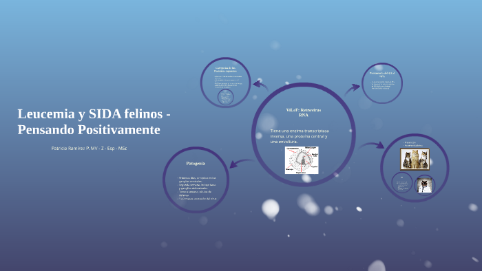 Lecuemia y SIDA felinos - Pensando Positivamente by Patricia Ramírez on ...