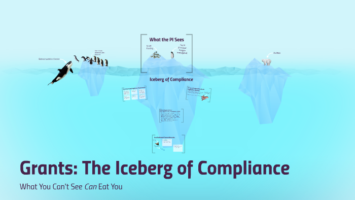 Grants: The Iceberg of Compliance by Melissa Nielsen on Prezi