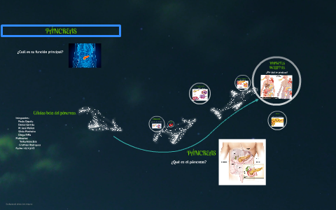 Células beta del páncreas. by Cristian Illanes Carriel on Prezi