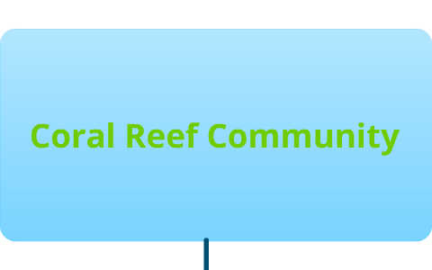 Coral Reef Concept Map by Sam Richardson on Prezi