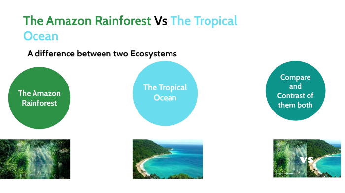 Ecosystem comparison project by Chris Allen on Prezi