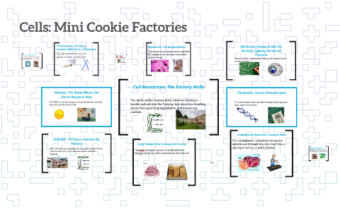 Cells: Mini Cookie Factories by Evan Benedek on Prezi