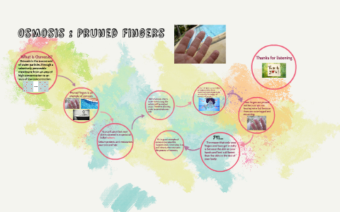 Osmosis : Pruned Fingers by Sam Digglebum on Prezi