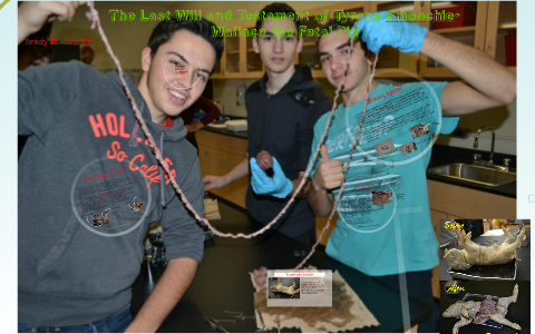 The Dissection of Tyrone Smoochie Wallace by Mohammed Said on Prezi