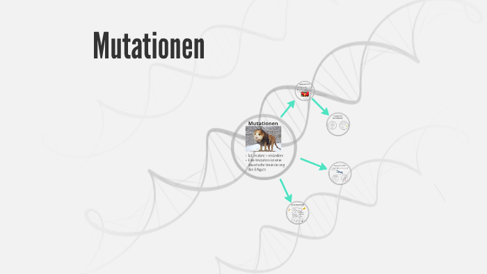 Genmutationen by Charlotte Claire on Prezi