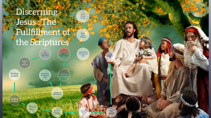 Discerning Jesus : The Fullfillment of the Scriptures by Shane Conlon ...