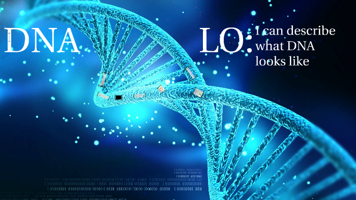 DNA by Kathryn Hartmann on Prezi