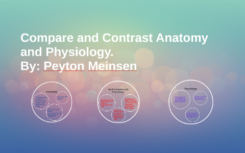 Compare And Contrast Anatomy And Physiology By Peyton Meinsen On Prezi