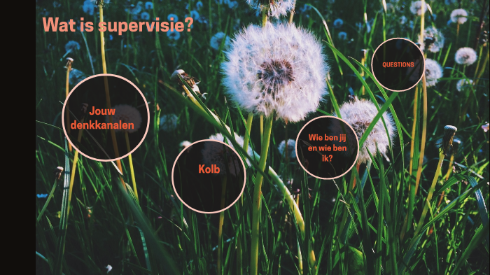 Supervisie CHE by hannah verweij on Prezi