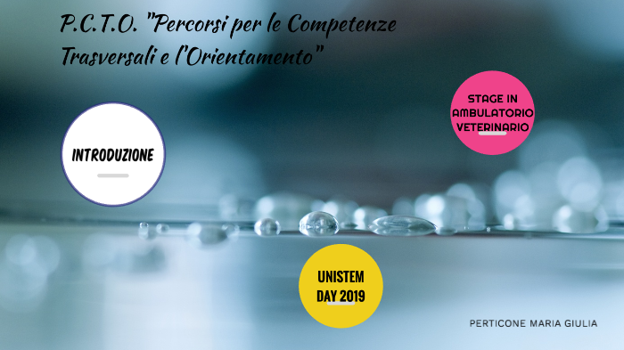 PCTO, Percorso per le Competenze Trasversali e l'Orientamento by Maria ...