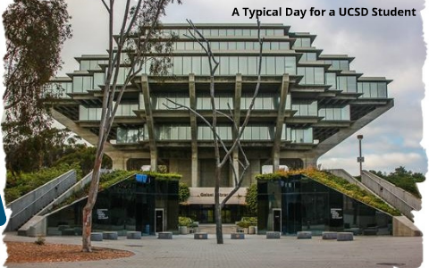 Architects vs. Engineers by Won Lee