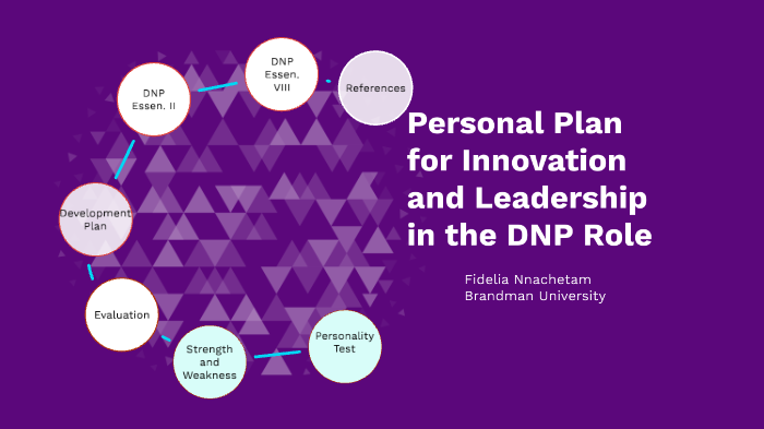Personal Plan for Innovation and Leadership in the DNP Role by Fidelia ...