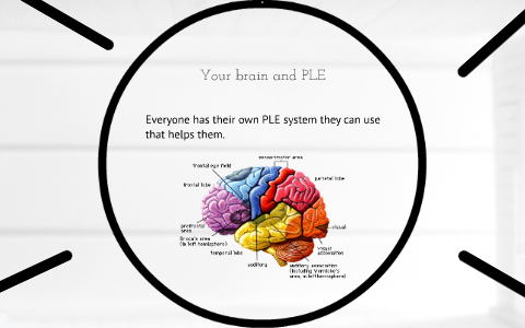 Your brain and PLE by jade gilliam on Prezi