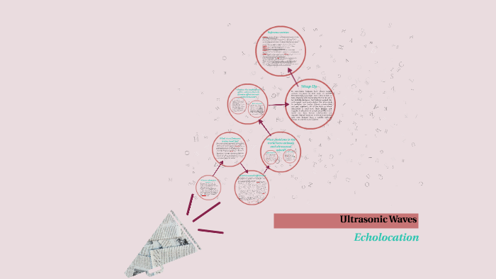 Ultrasound-Echolocation by Paula Delgado on Prezi
