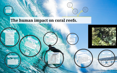 The human impact on coral reefs. by Carl Wiegan on Prezi