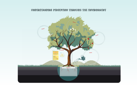 Understanding Perception through the environment by cognitive ...