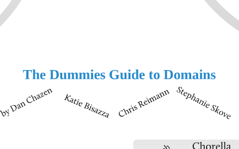 The Dummies Guide to Domains by Chris Reimann