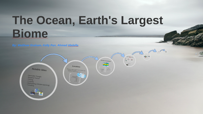 The Ocean, Earth's Largest Biome by Ahmed Abdalla on Prezi