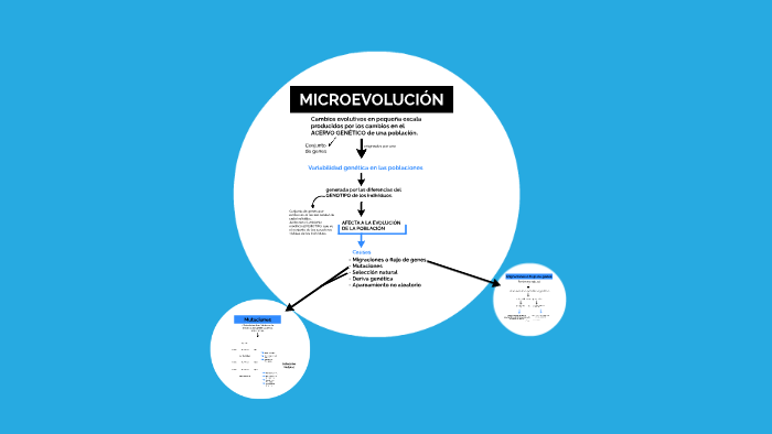 Microevolucion by Juli Vazquez
