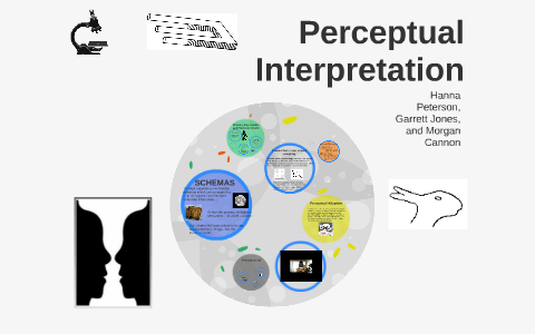 Perceptual Interpretation by Hanna Peterson