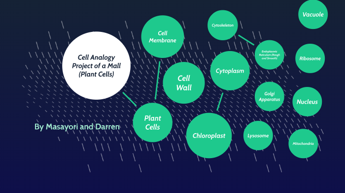 Cell Analogy Project of a Mall (Plant Cells) By Masayori and Darren by ...