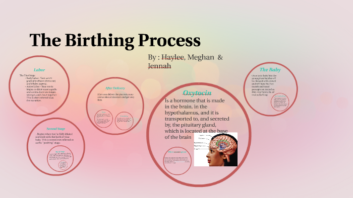 The Birthing Process by Haylee Miller on Prezi