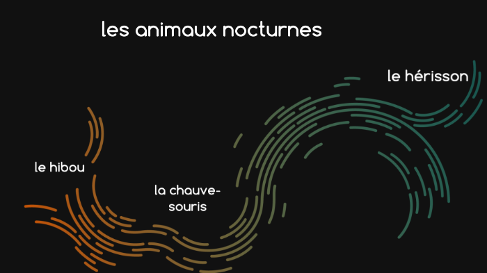 les animaux nocturnes by Elija Koch on Prezi
