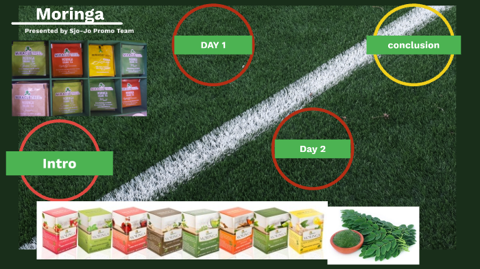 moringa tea by Josaphatrich de Camps on Prezi