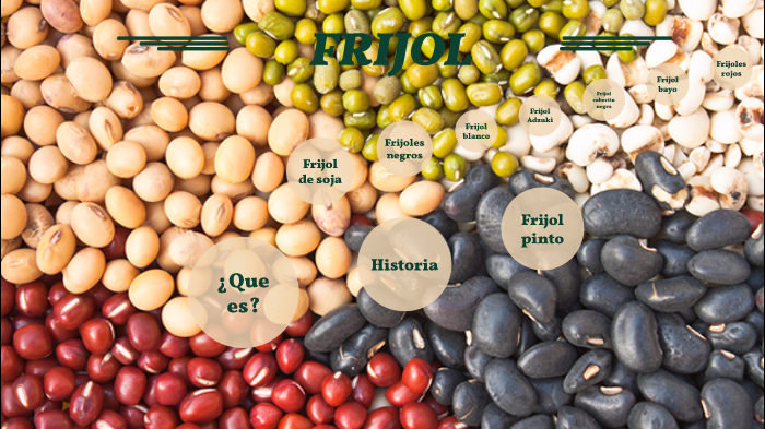 Tipos de frijol by Monica Dominguez Martinez on Prezi