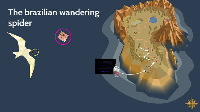 The Brazilian wandering spider by josh rose on Prezi