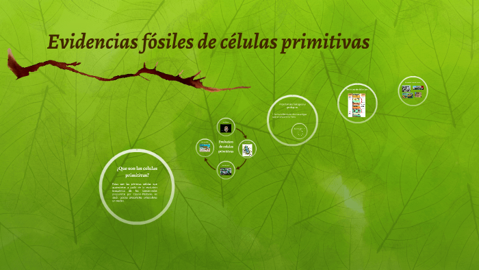 Evidencias fósiles de células primitivas by Renata Diaz Luz on Prezi