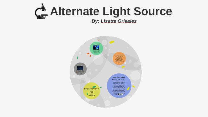Alternate Light Source by Lisette Grisales on Prezi