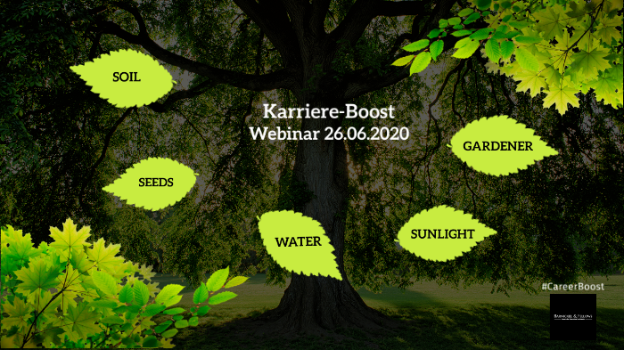 Career Boost by Ute Barnickel on Prezi