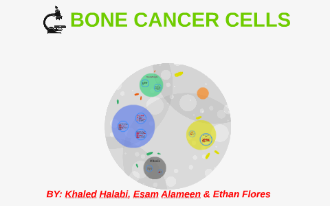 Mitosis by khaled halabi on Prezi