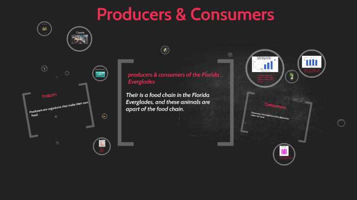 Producers of the Florida Everglades by Brayden Pebley on Prezi