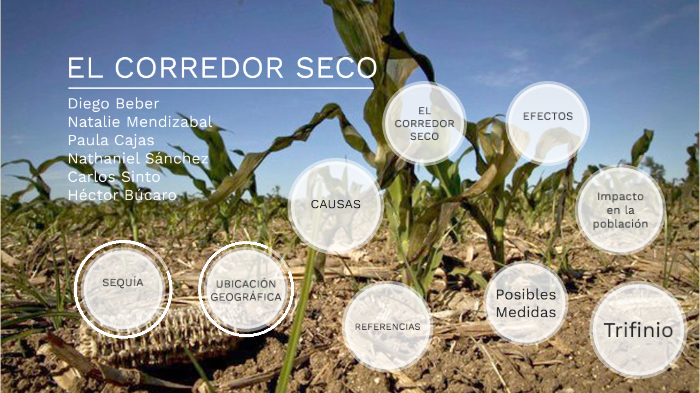 El Corredor Seco by Carlos Sinto on Prezi