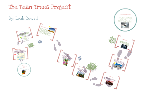 The Bean Trees by Leah Rowell on Prezi