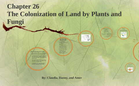 The Colonization of Land by Plants and Fungi by Danny Dikran on Prezi