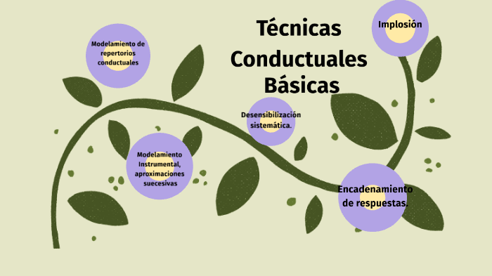 Técnicas conductuales básicas by carmen briseño salvador on Prezi