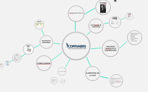 DIAGNOSTICO EMPRESARIAL by DELIA SOLANO