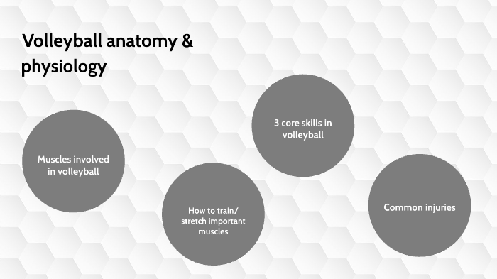Volleyball anatomy and physiology by Keana Lowden-Hayward on Prezi