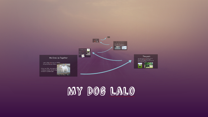 My Dog Lalo by Andres Quintanar on Prezi